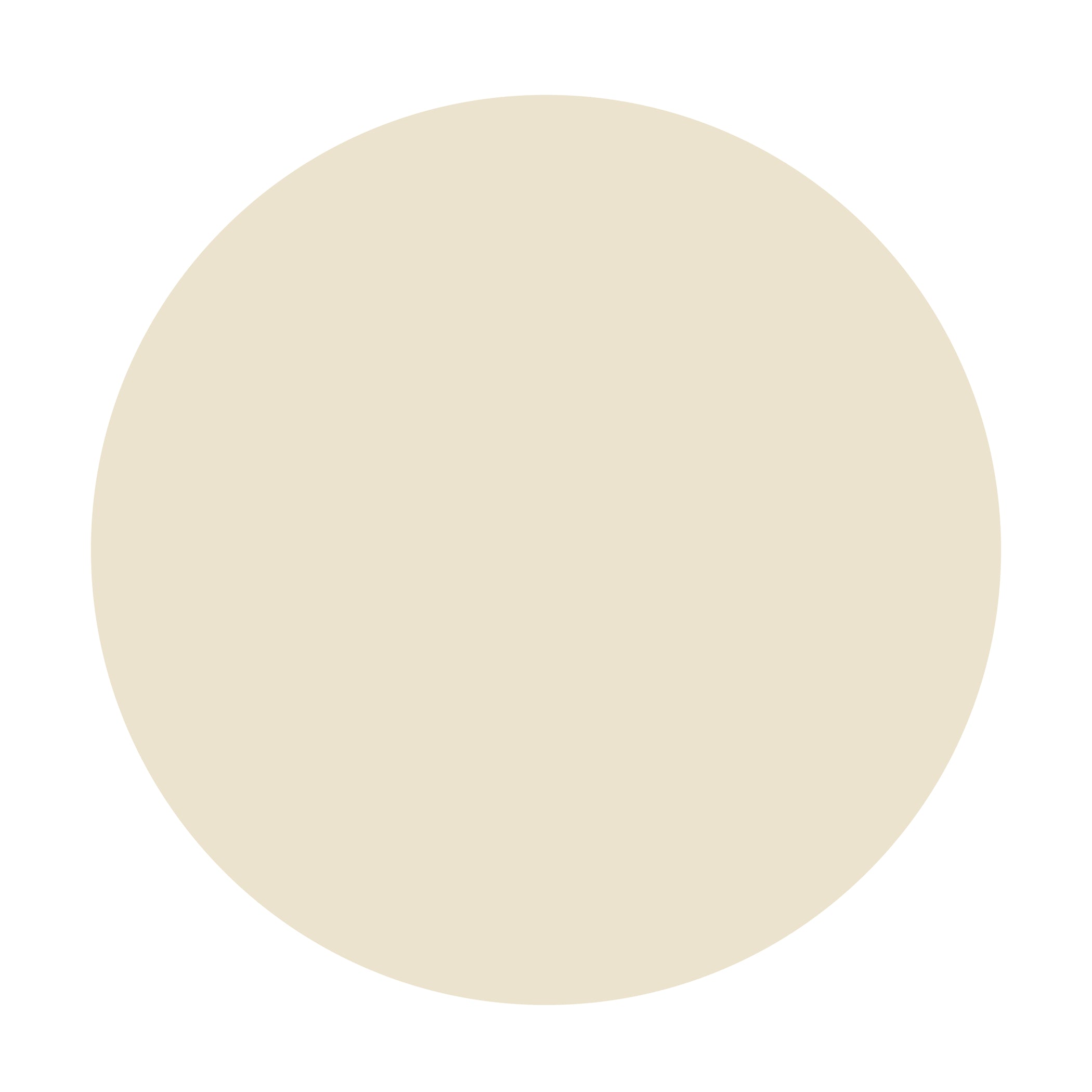 FARVEKORT – MALEREXPERTEN